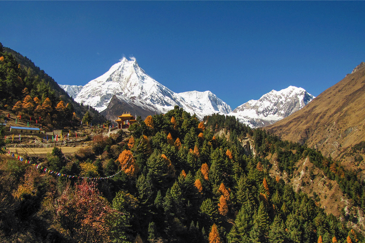 Nepal's community forestry initiatives: A successful model to combat deforestation?